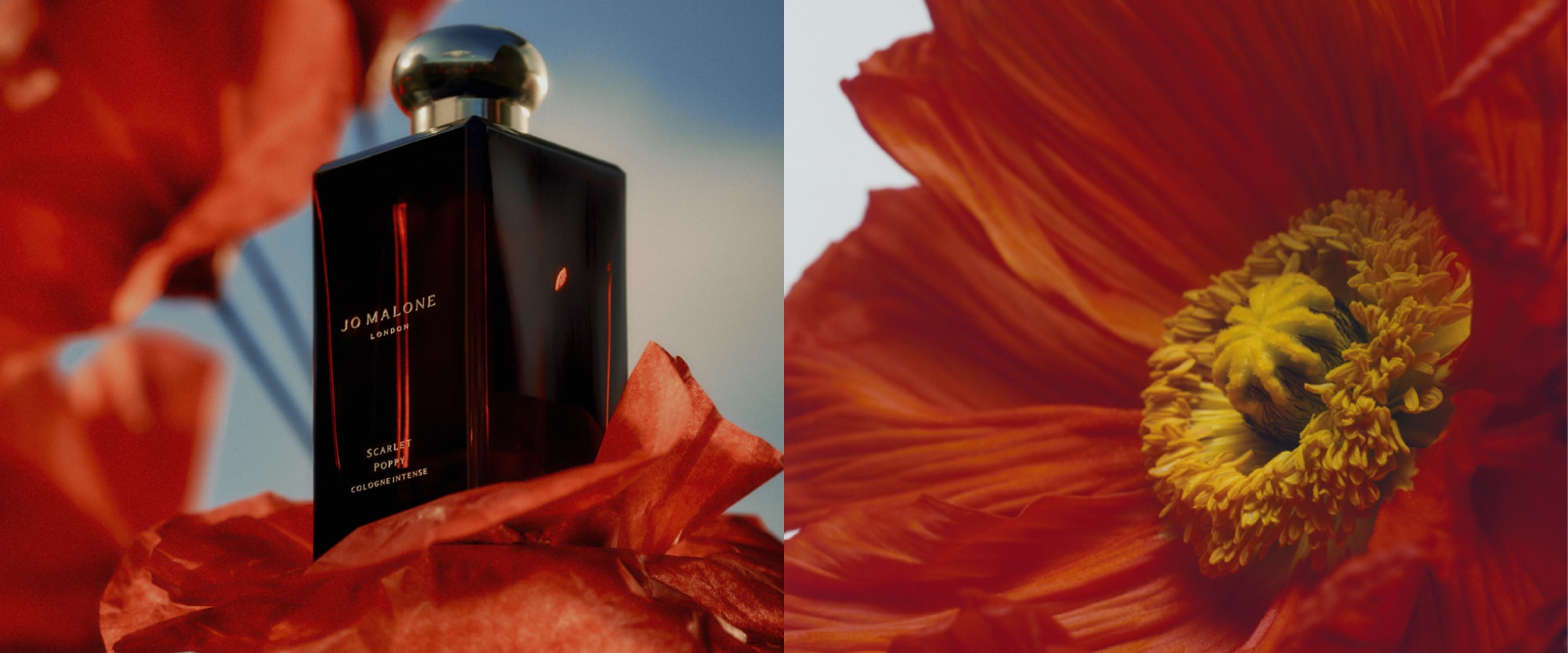 Cologne Intense | Jo Malone London