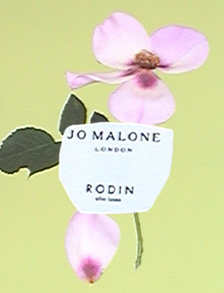 Home | Jo Malone London